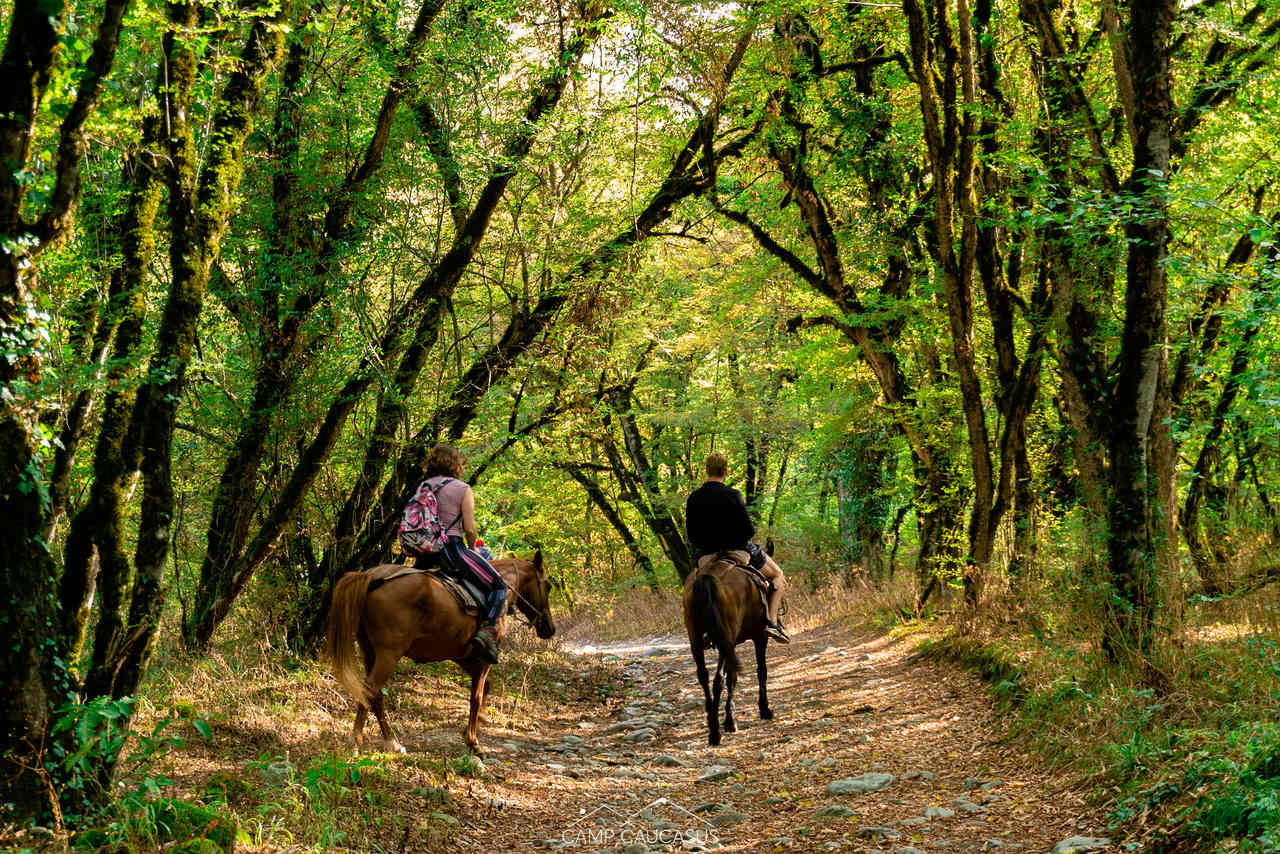 LAGODEKHI FULL TRAVEL GUIDE - Hiking & Trekking in Georgia
